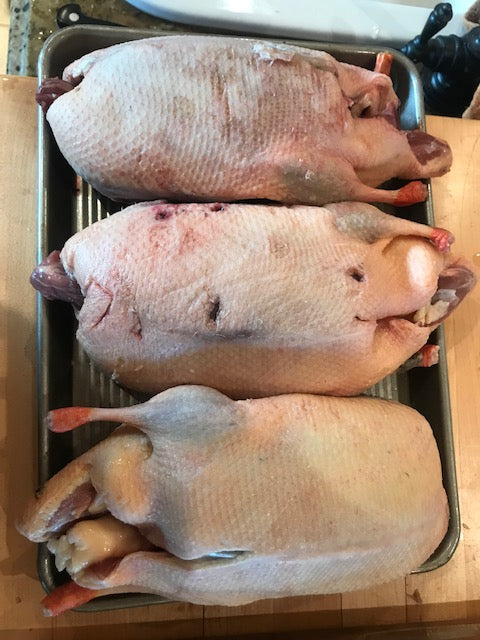 After The Hunt – The Fowl Plucker